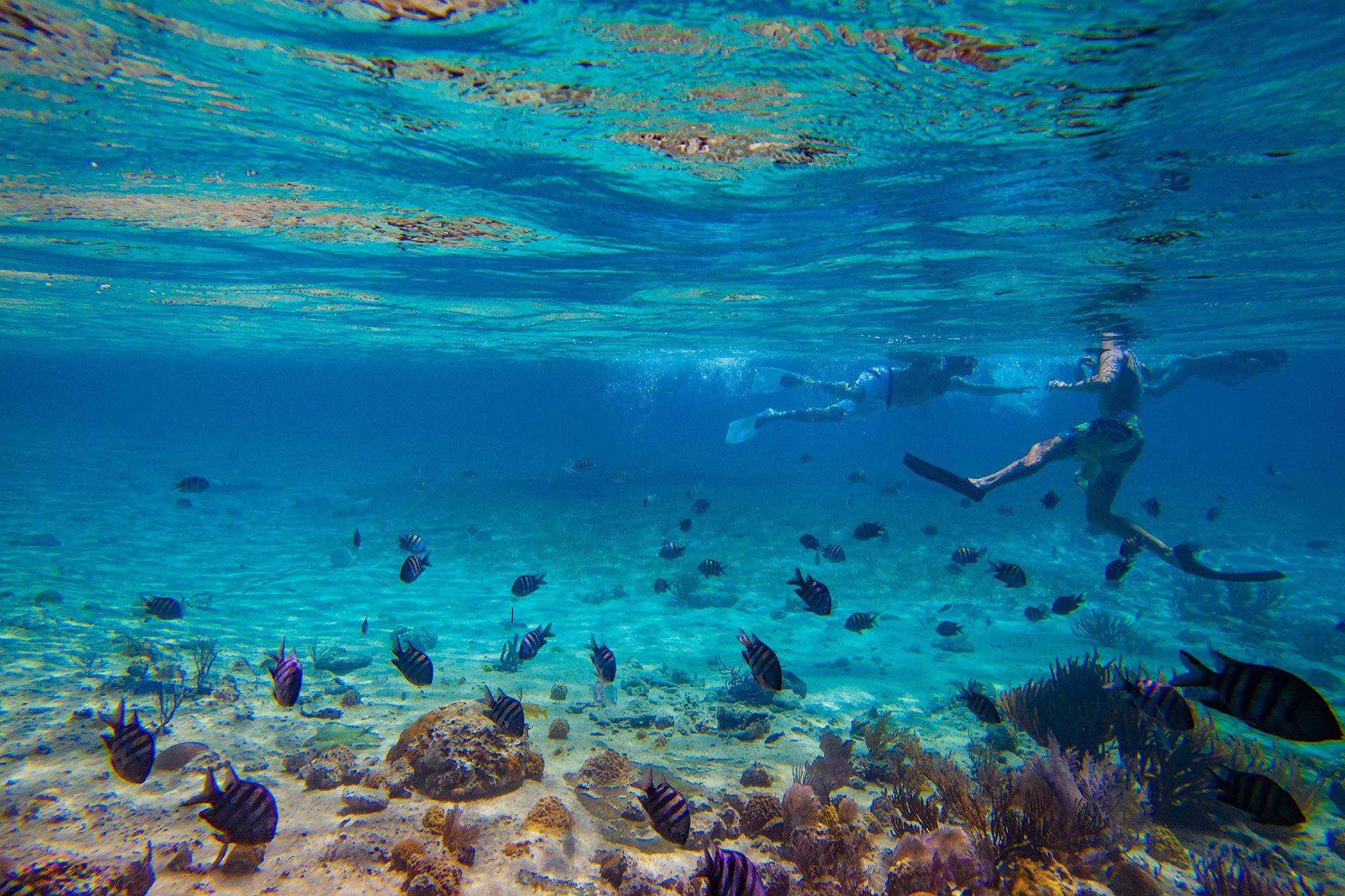 Best Time To Visit Barbados Seasonality Weather And Events Sandals